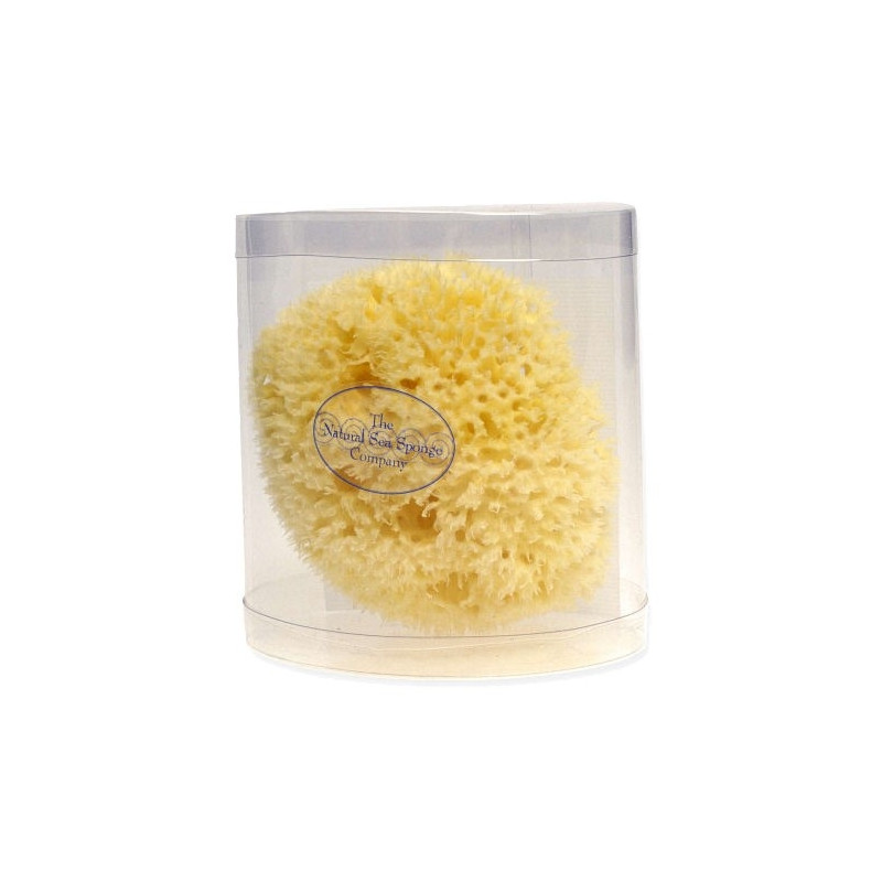 Natural Sea Sponge Company Medium Honeycomb Sea Sponge